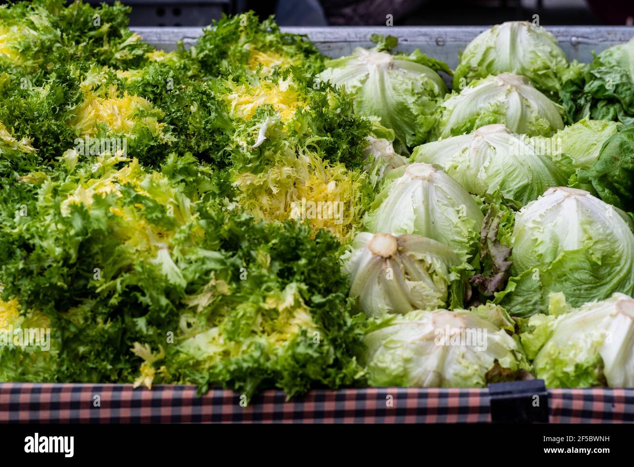 Vic weekly market, fresh and organic products,organic vegetables ...