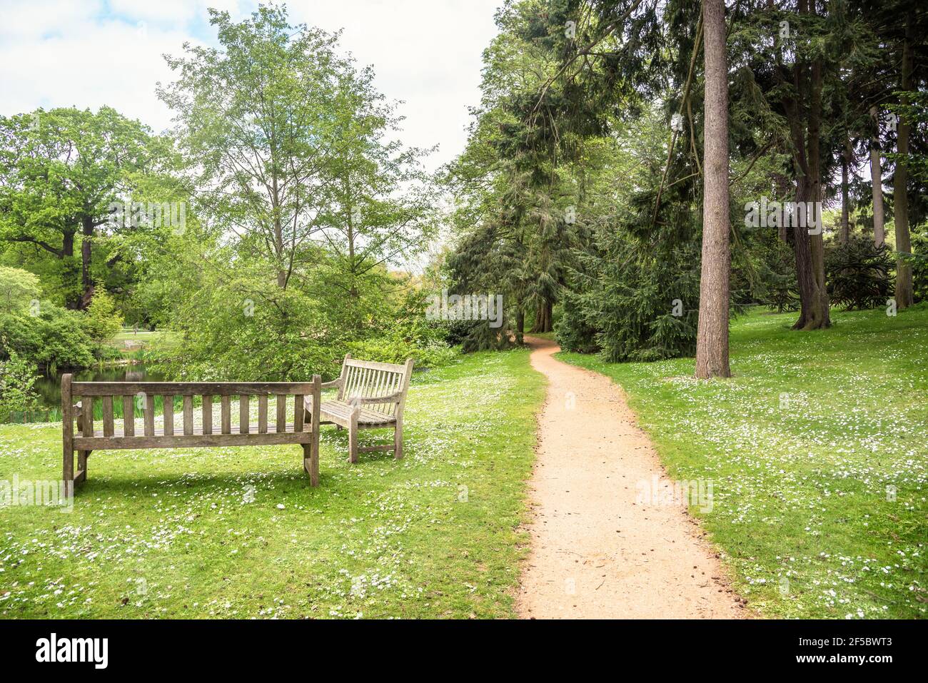 Deserted gravel path running through flowery meadows and woods in park ...