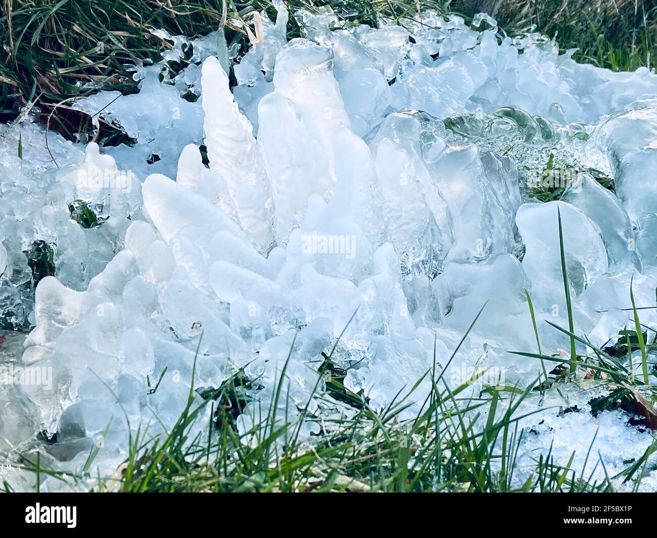 Ice icicle background backdrop with copy space frozen water from tap ...