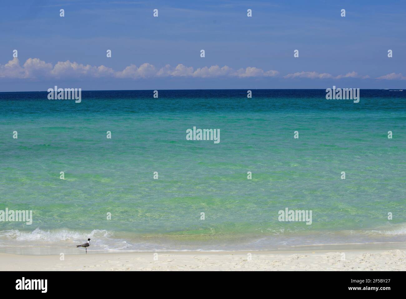 Tropical ocean and beach. Blue ocean wide panorama background with sea ...