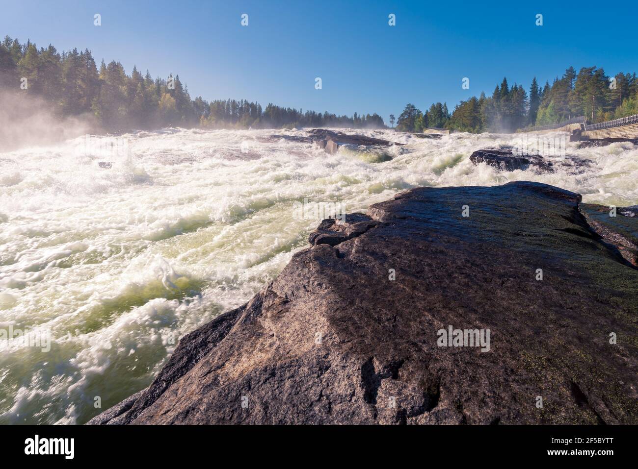Storforsen, wild, huge waterfall on the Pite River in Swedish arctic on ...