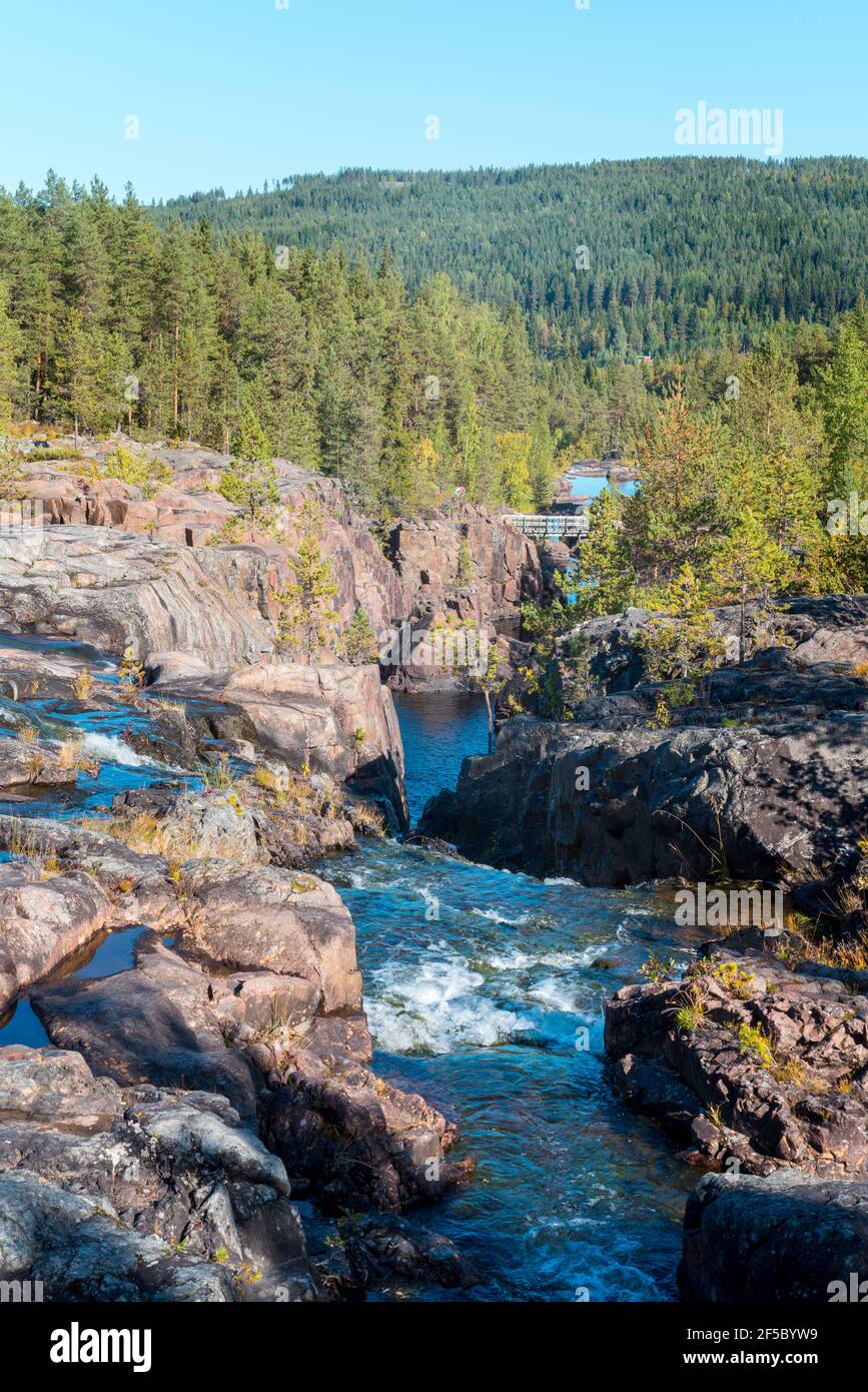 Storforsen, wild, huge waterfall on the Pite River in Swedish arctic on ...