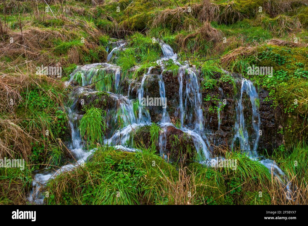 Natural rising or spring from an open bedding planes under flood ...