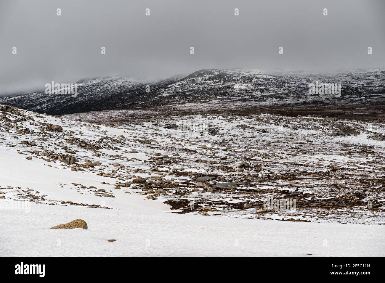 Australian alpine walking trail hi-res stock photography and images - Alamy