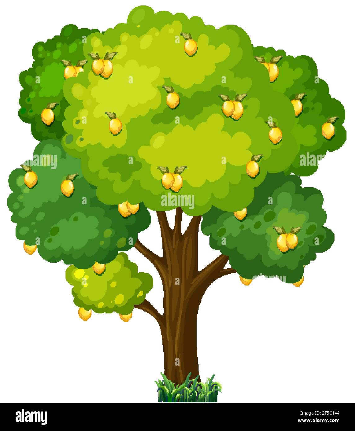 Lemon tree in cartoon style isolated on white background illustration ...