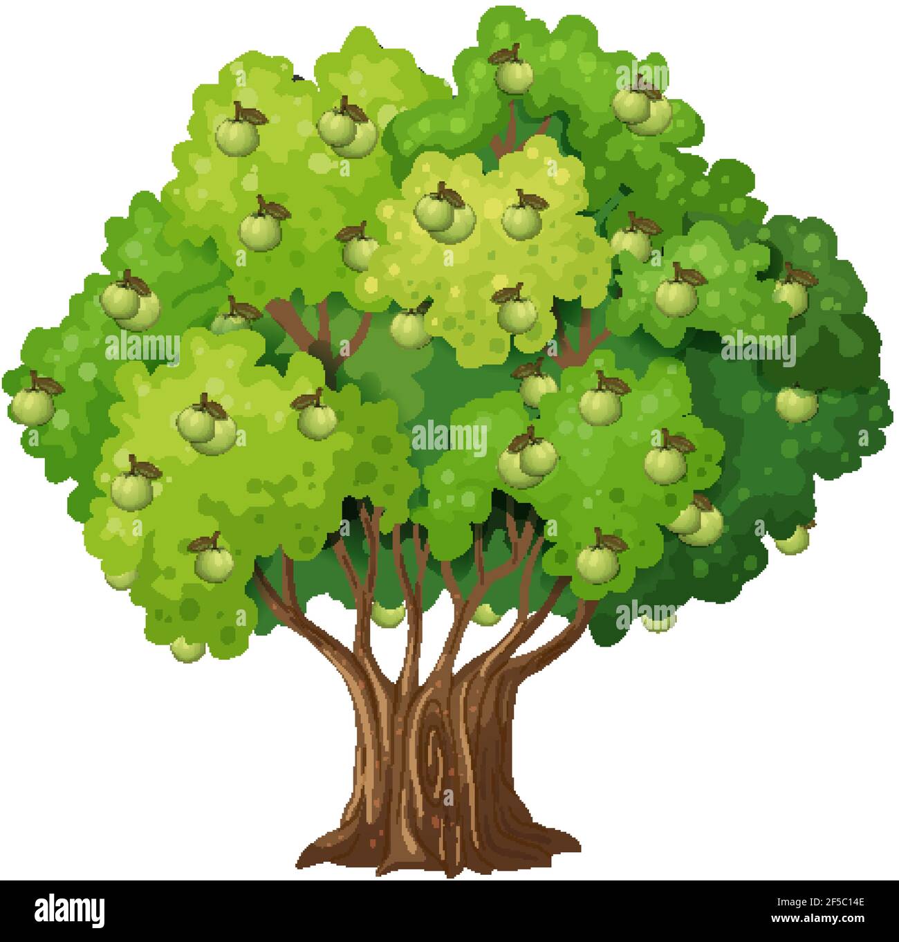 Guava Tree Clip Art Guava Fruit Young On Tree Farm: Over 2