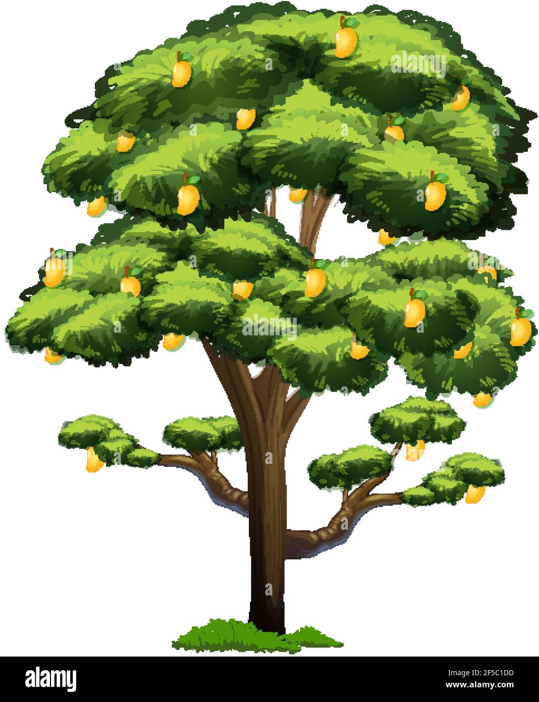Mango Tree Cartoon Images