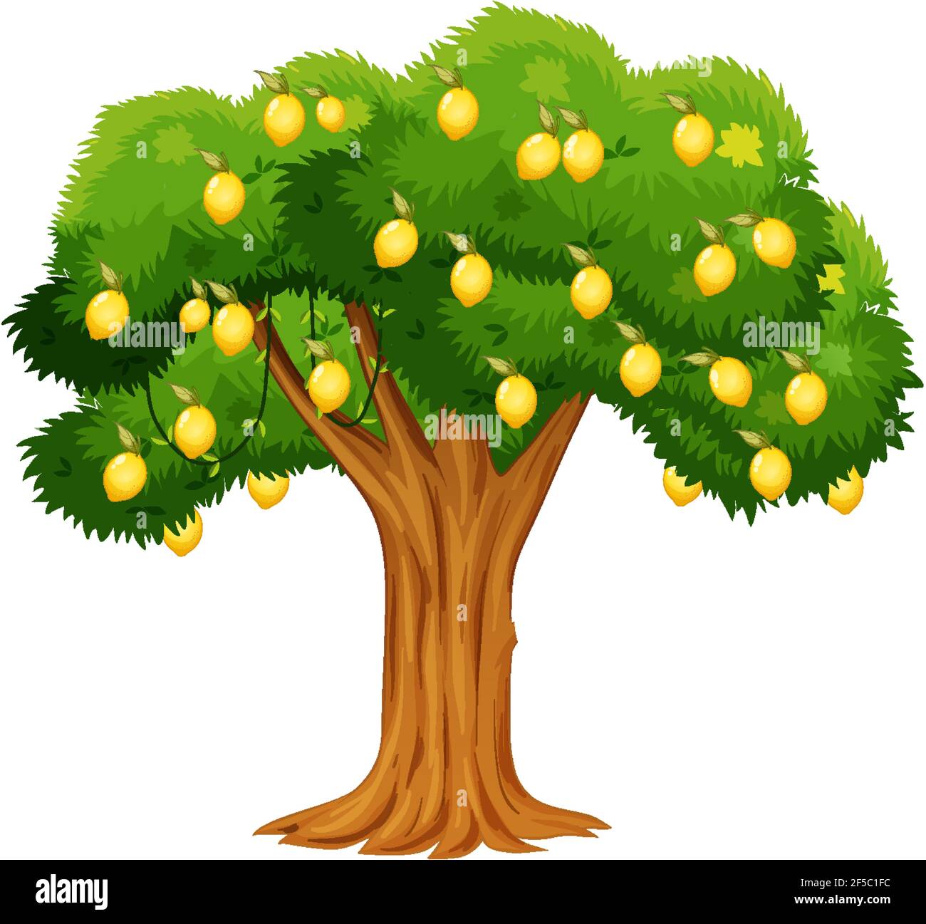 Lemon tree isolated on white background illustration Stock Vector Image ...