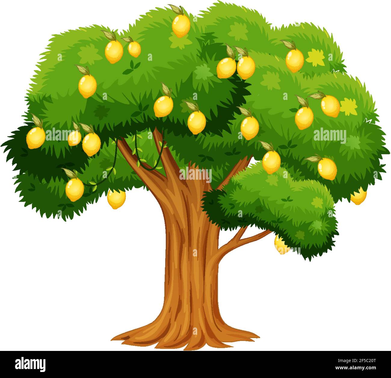 Lemon tree isolated on white background illustration Stock Vector Image ...