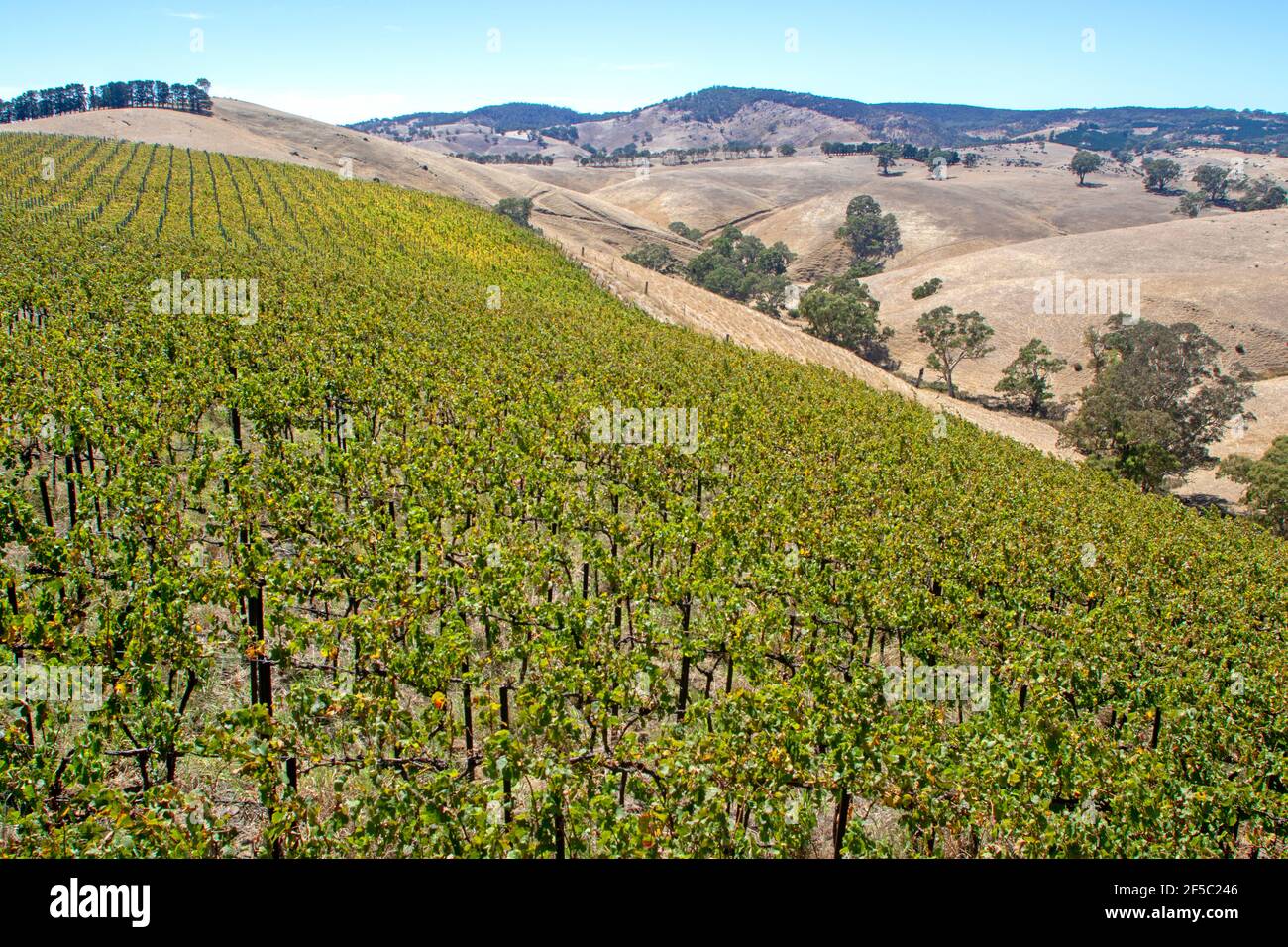 Barossa ranges hi-res stock photography and images - Alamy