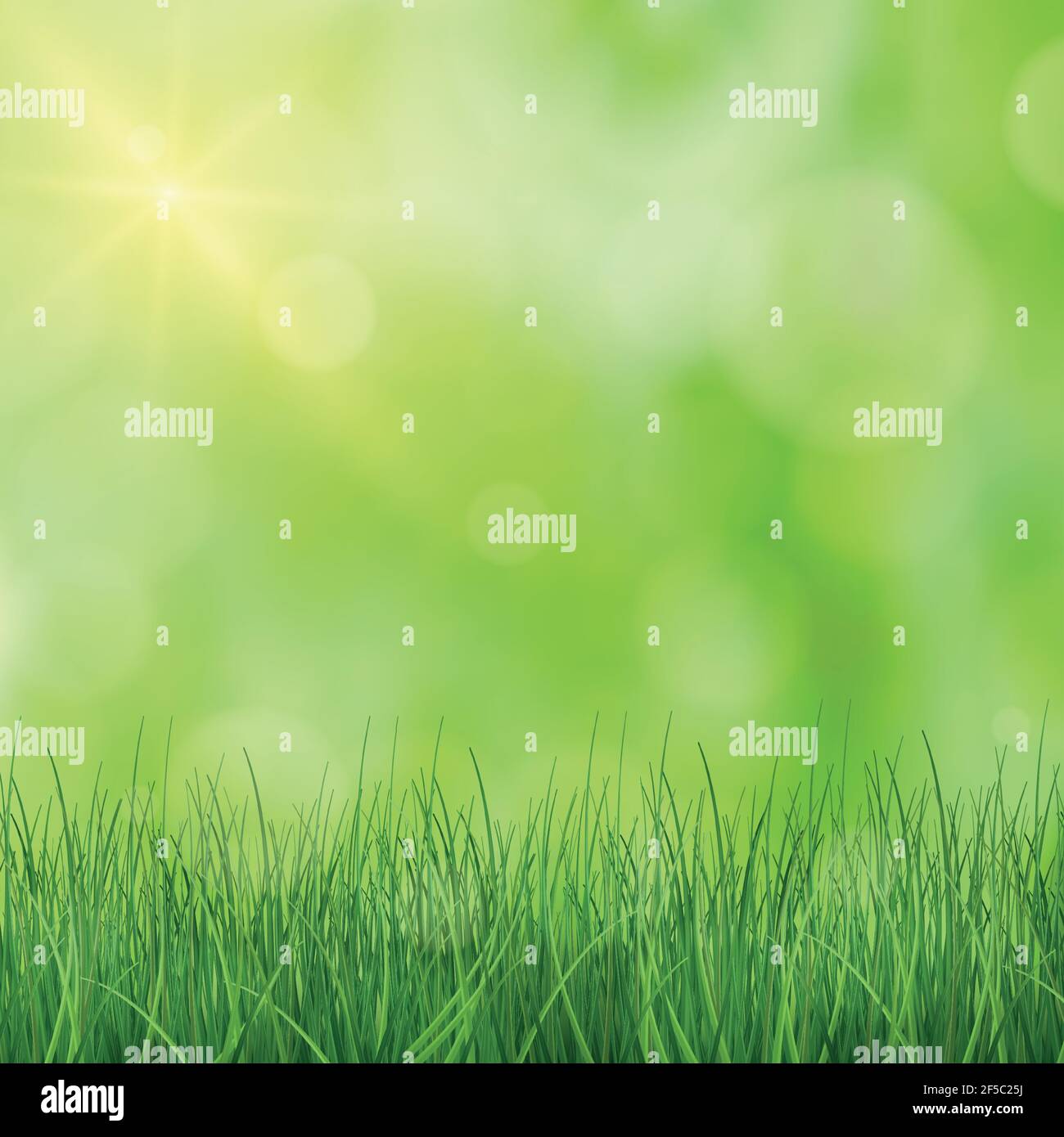 Abstract sun lit landscape Stock Vector Images - Alamy