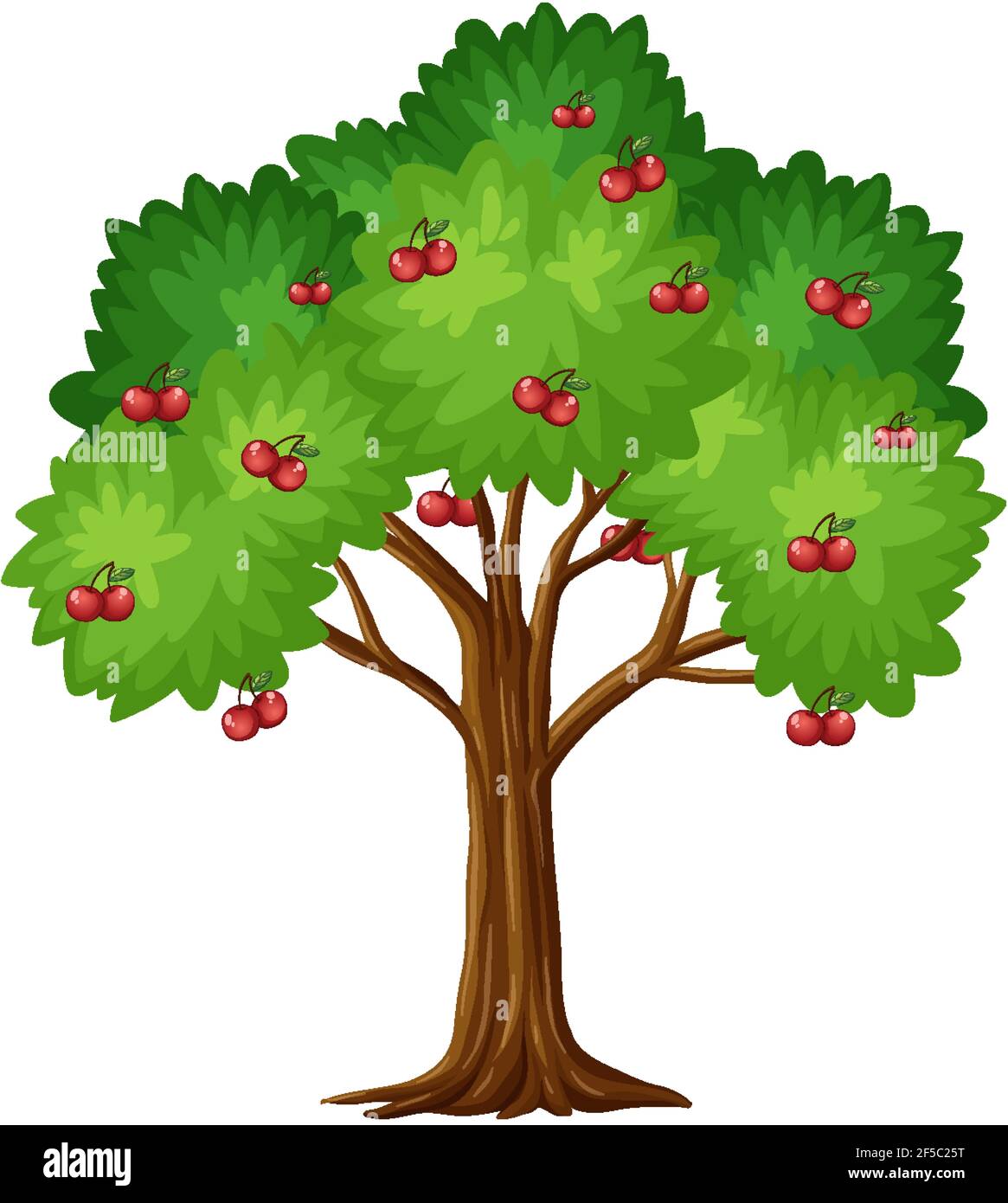 Cherry tree isolated on white background illustration Stock Vector ...