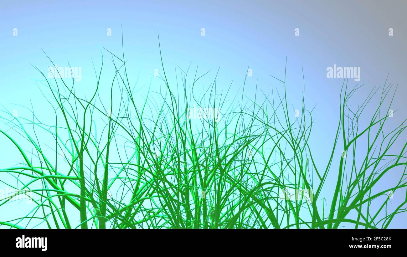 Blue sky with grass template hi-res stock photography and images - Alamy