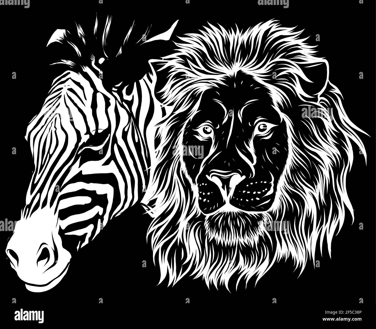 Lion and zebra hi-res stock photography and images - Alamy