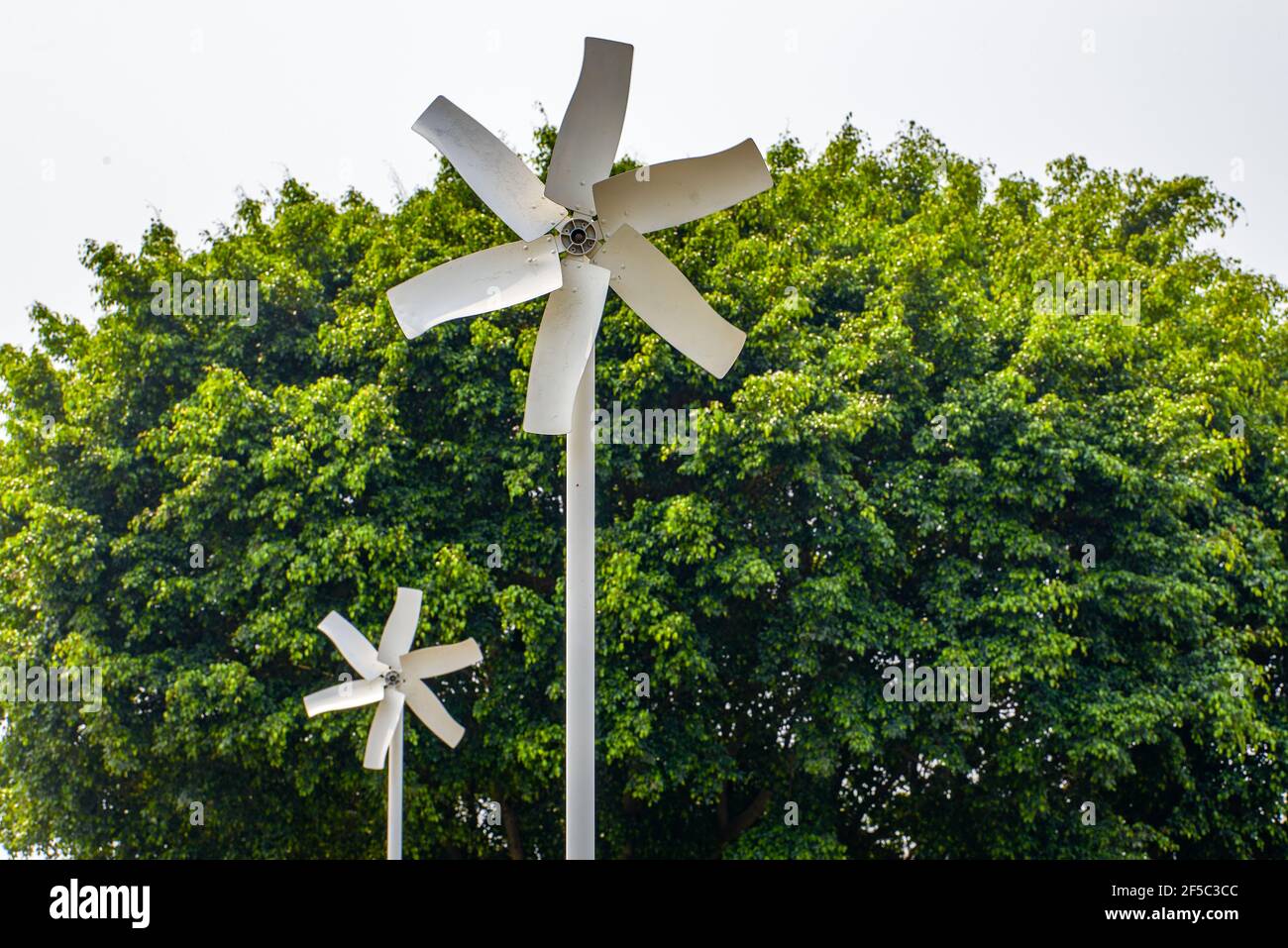 Simple windmill indicating wind direction in the forest Stock Photo - Alamy