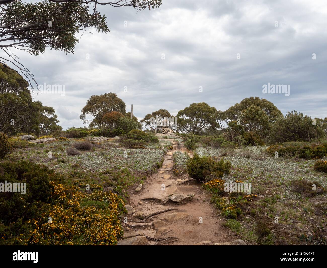 Hiking Trails, Baw Baw National Park, Victoria Australia. From Mount St ...
