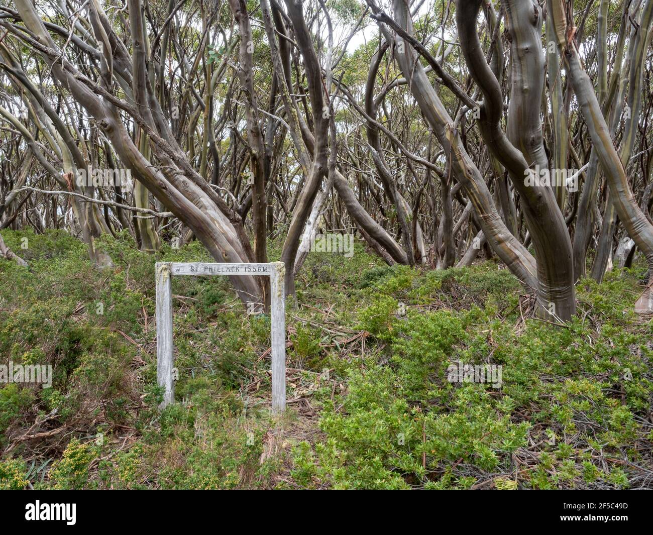 Baw baw park australia hi-res stock photography and images - Alamy