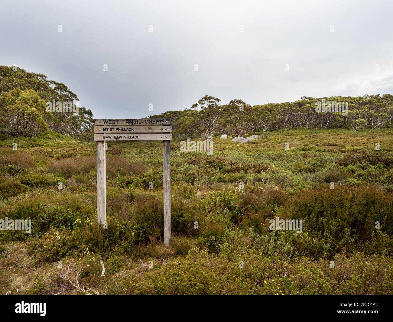 Baw baw park australia hi-res stock photography and images - Alamy