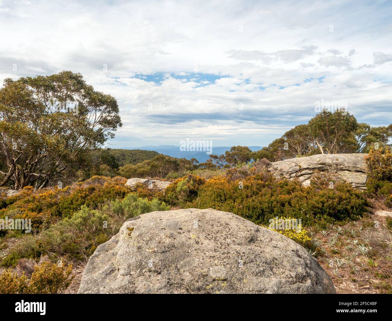 View out over the Australian Alps, Mount Baw Baw National Park ...