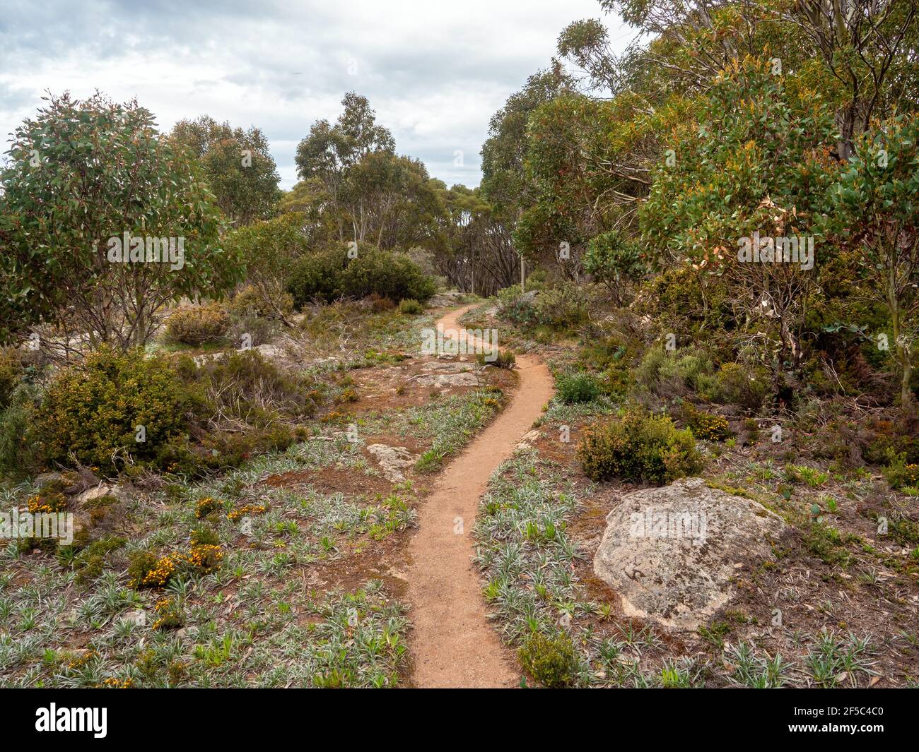 Hiking Trails, Baw Baw National Park, Victoria Australia. From Mount St ...