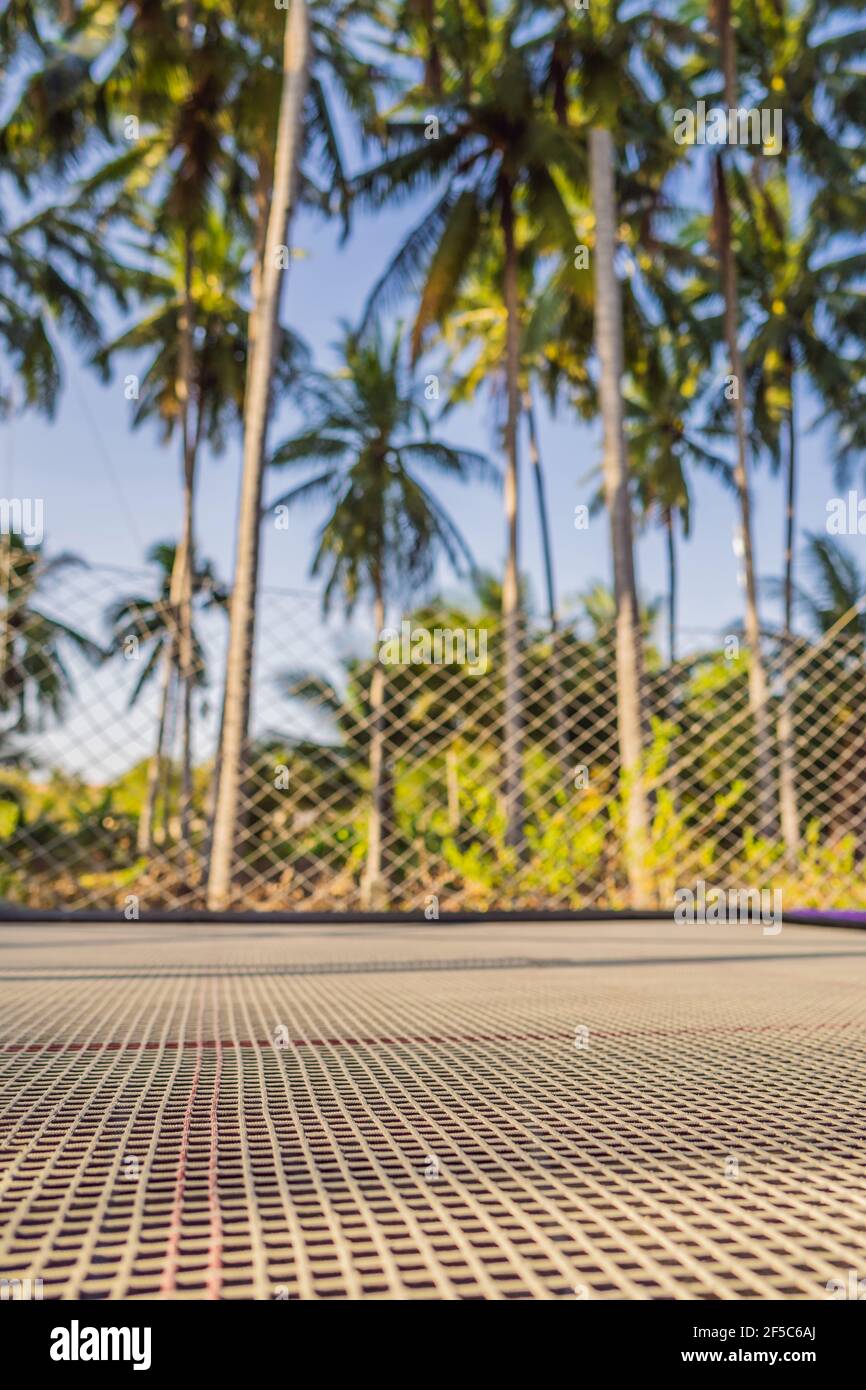 Outdoor trampoline on a background of palm trees Stock Photo - Alamy