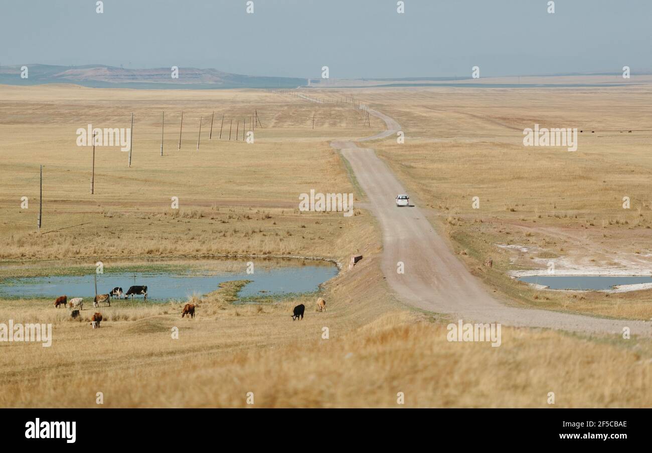 Steppes russia hi-res stock photography and images - Alamy