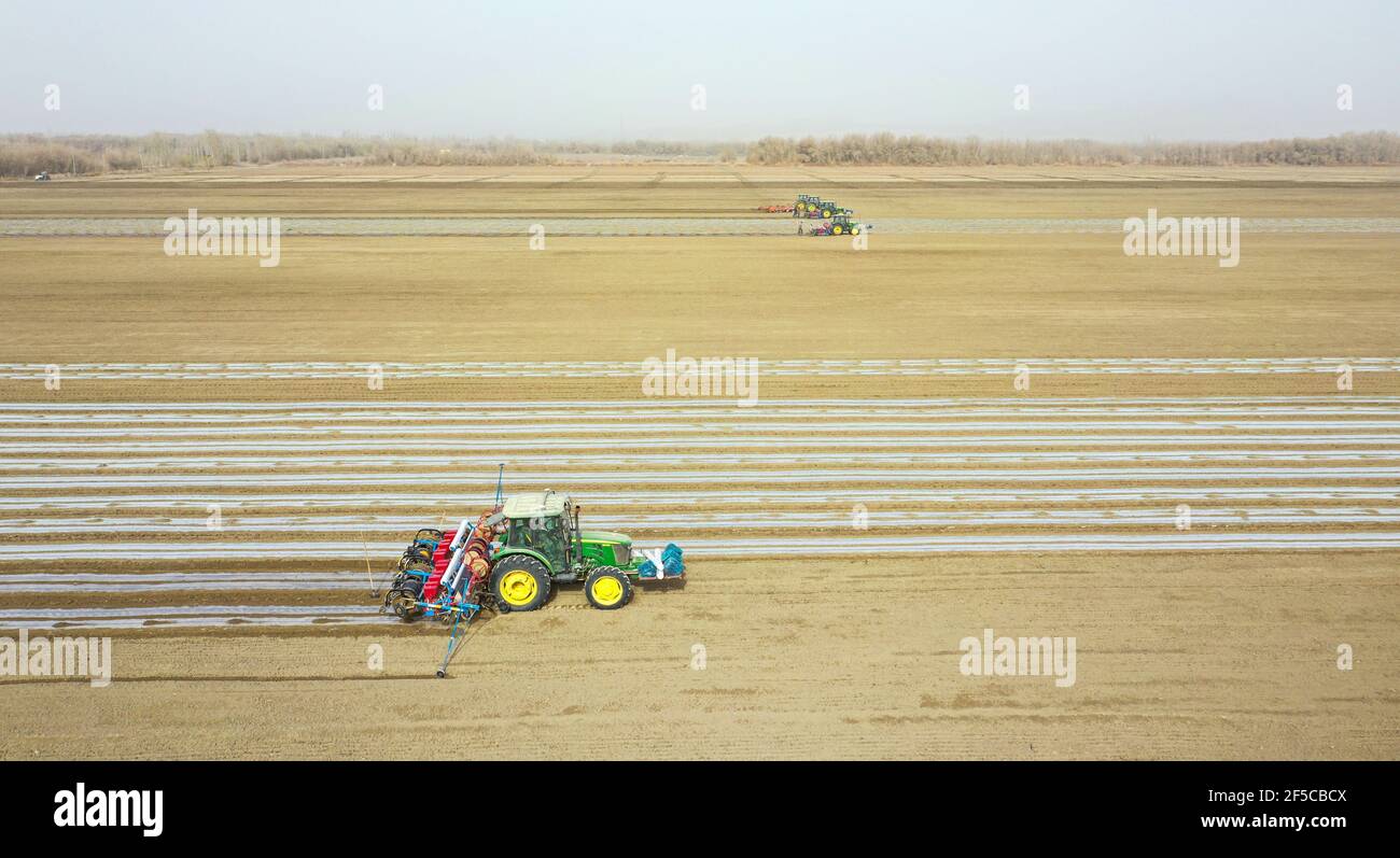 Tumxuk, China. 25th Mar, 2021. The cotton fields start planting in ...