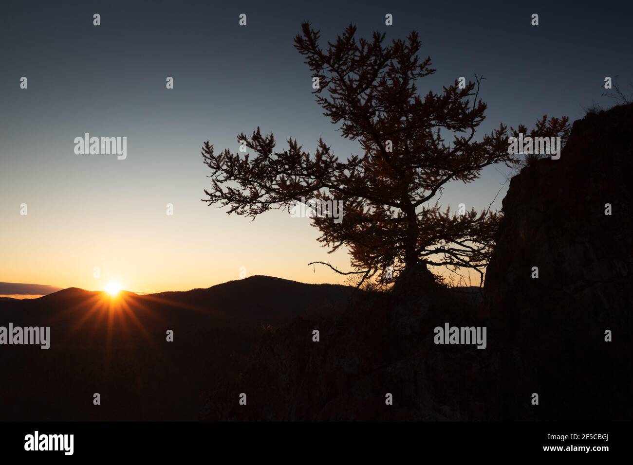 Abakan steppe hi-res stock photography and images - Alamy