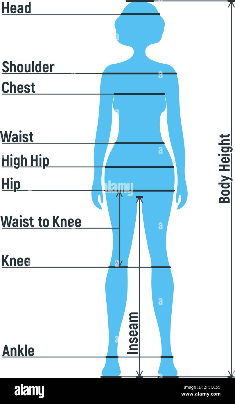 Female size chart anatomy human character, people dummy front and view ...