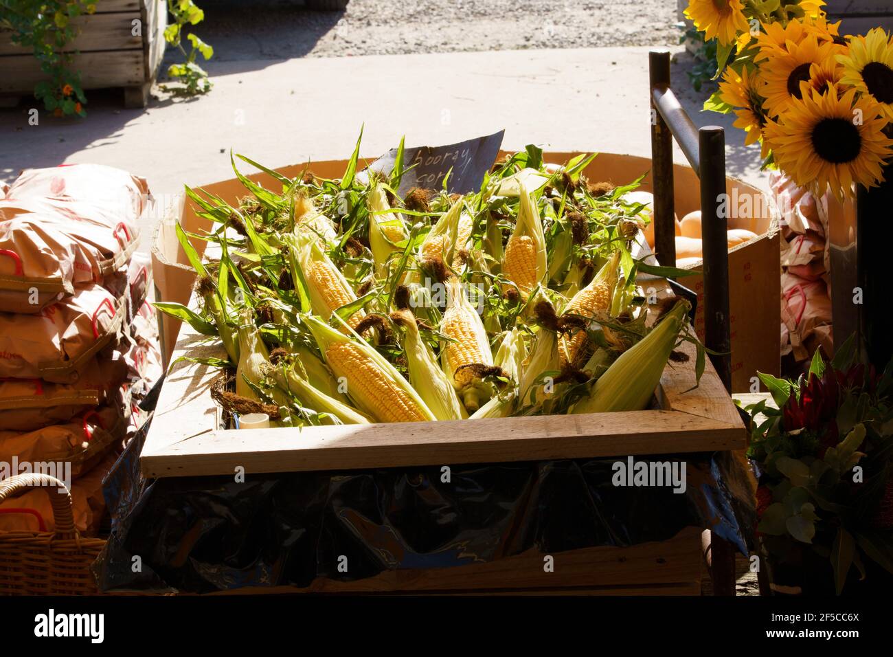 Fresh fruit and vegetables at a farmer's market in Mt Martha Victoria ...