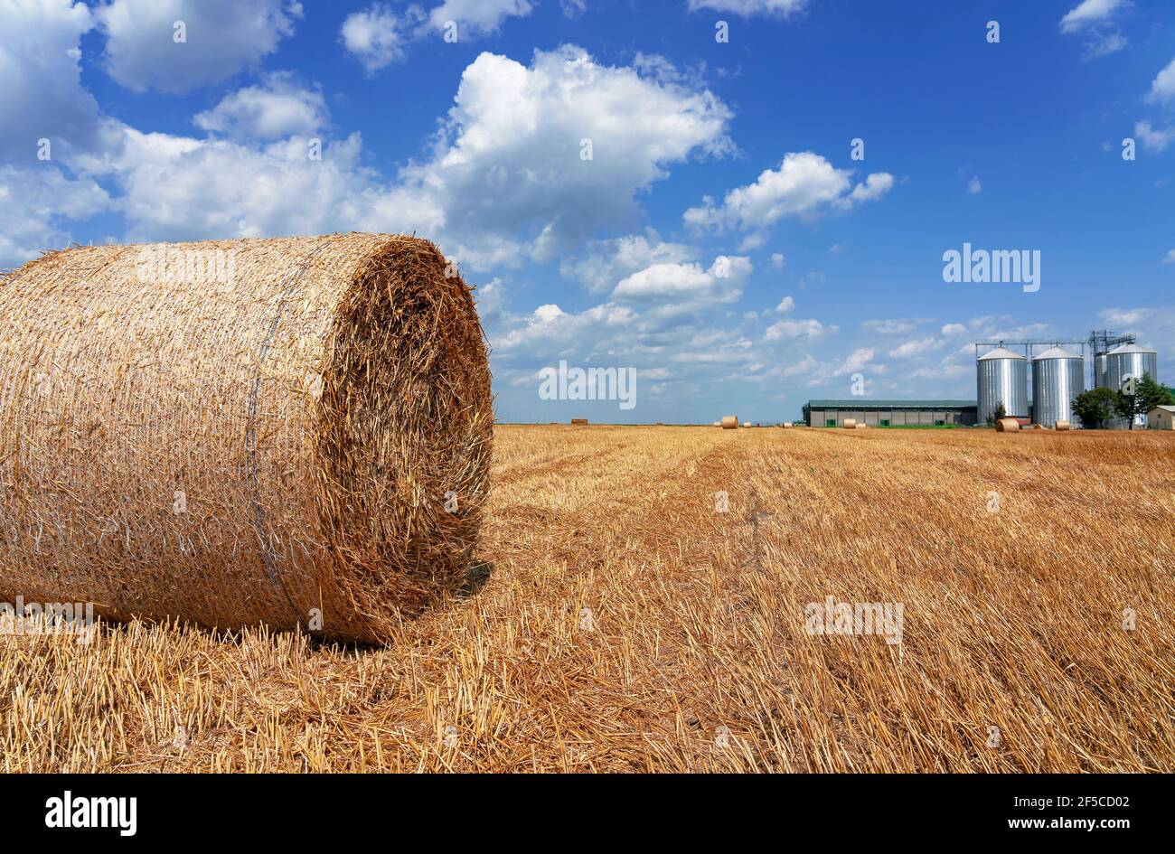 Commercial Grain Farming