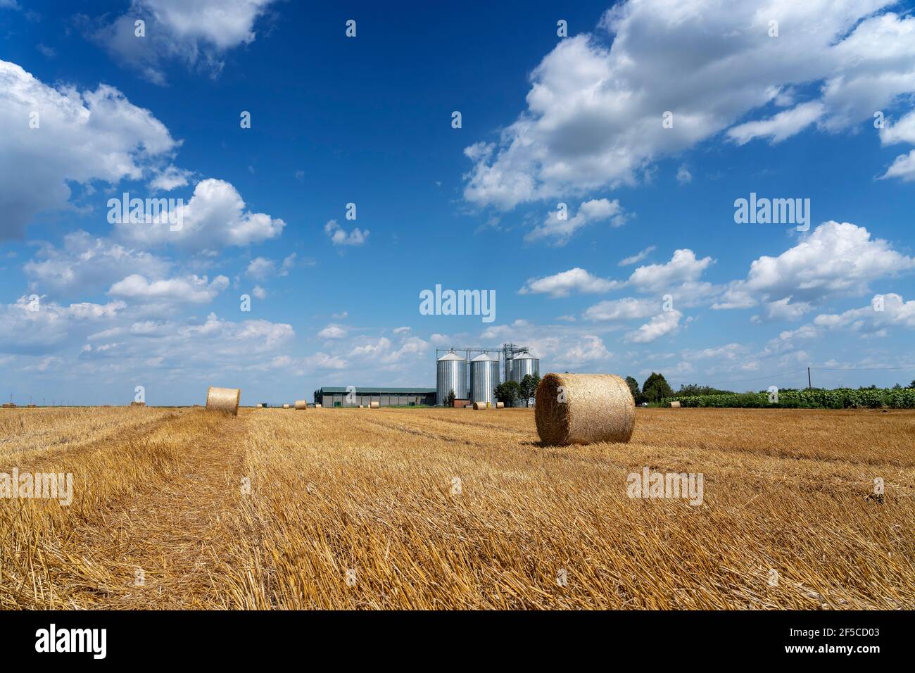 Round hay bales on the field after harvest. Beautiful Landscape Scenery ...