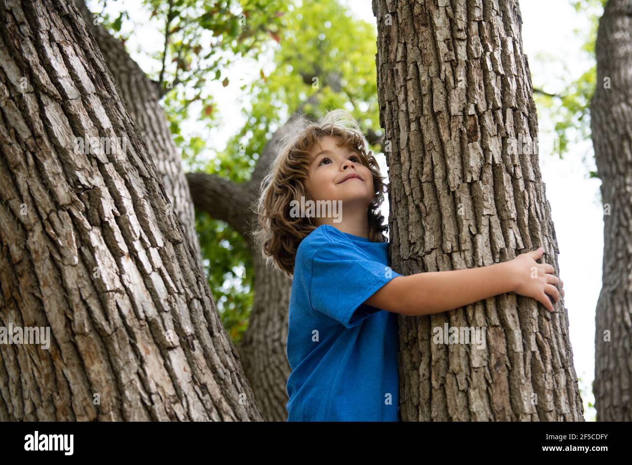 Young boy hugging a tree branch. Little boy kid on a tree branch. Child ...