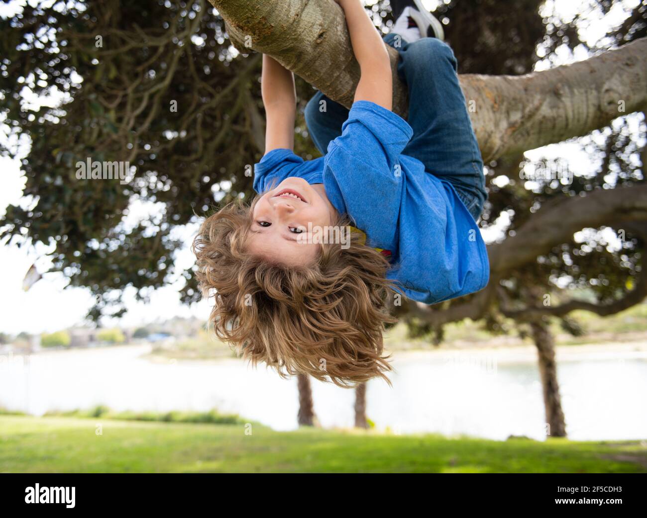 Little kid on a tree branch. Baby boy climbs a tree Stock Photo - Alamy