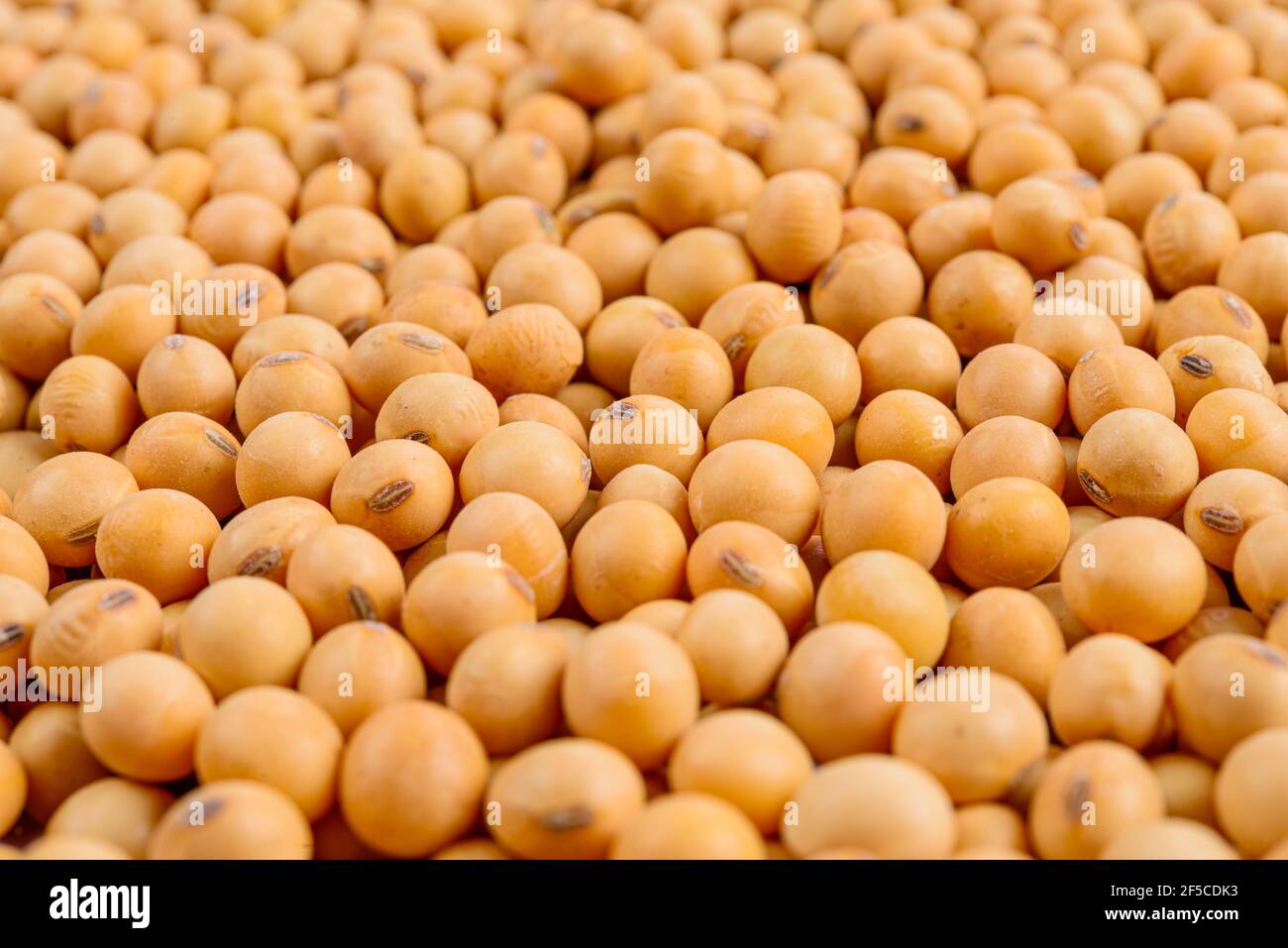 Soybeans china hi-res stock photography and images - Alamy