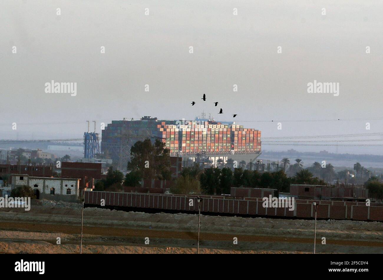 Container Ship Ever Given High Resolution Stock Photography and Images ...