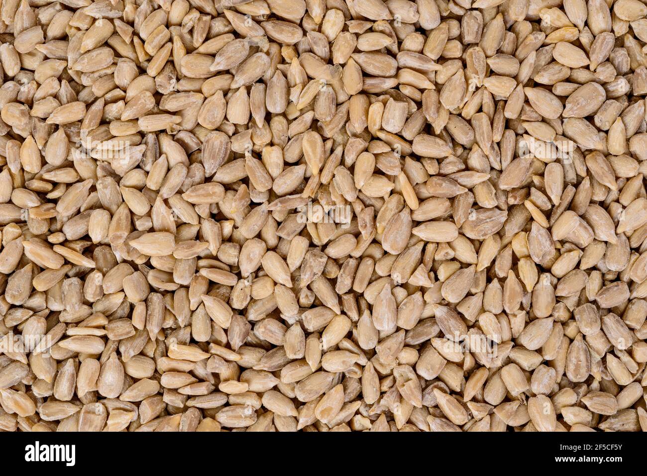 Full frame of sunflower seeds Stock Photo - Alamy