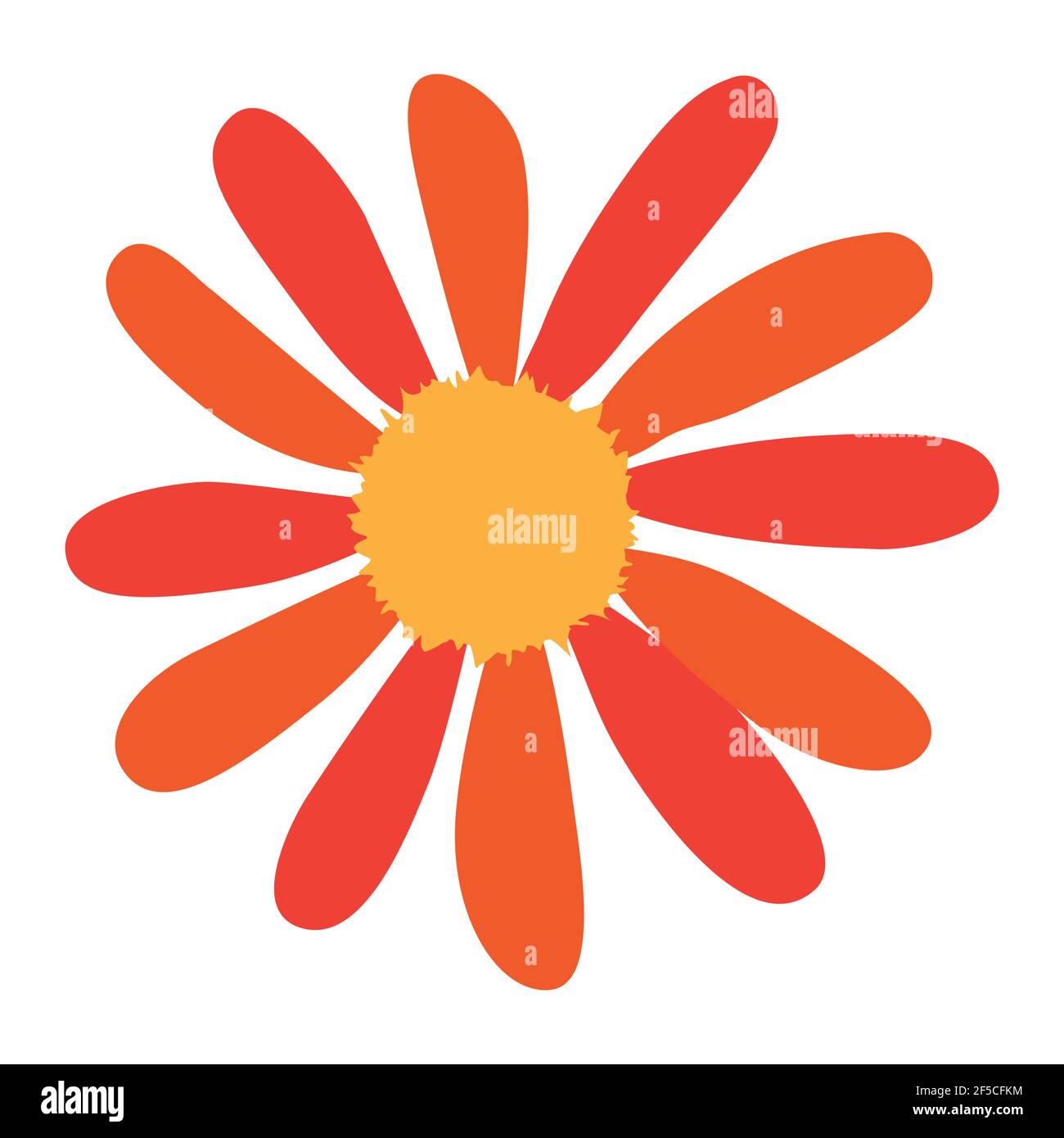 simple flower of blossoming and blooming red chamomile. Vector ...