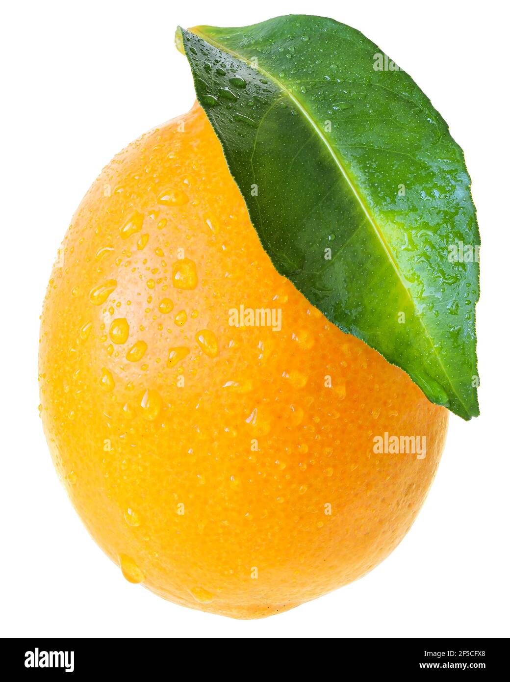Lemon close up with leaf isolated on a white background Stock Photo - Alamy