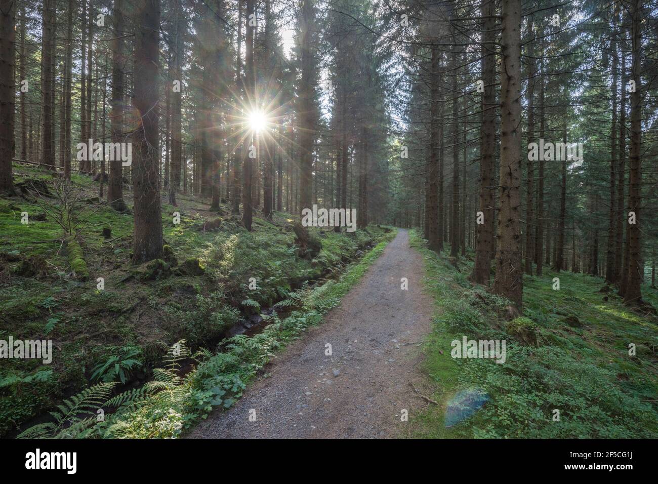 Ditch dam hi-res stock photography and images - Alamy
