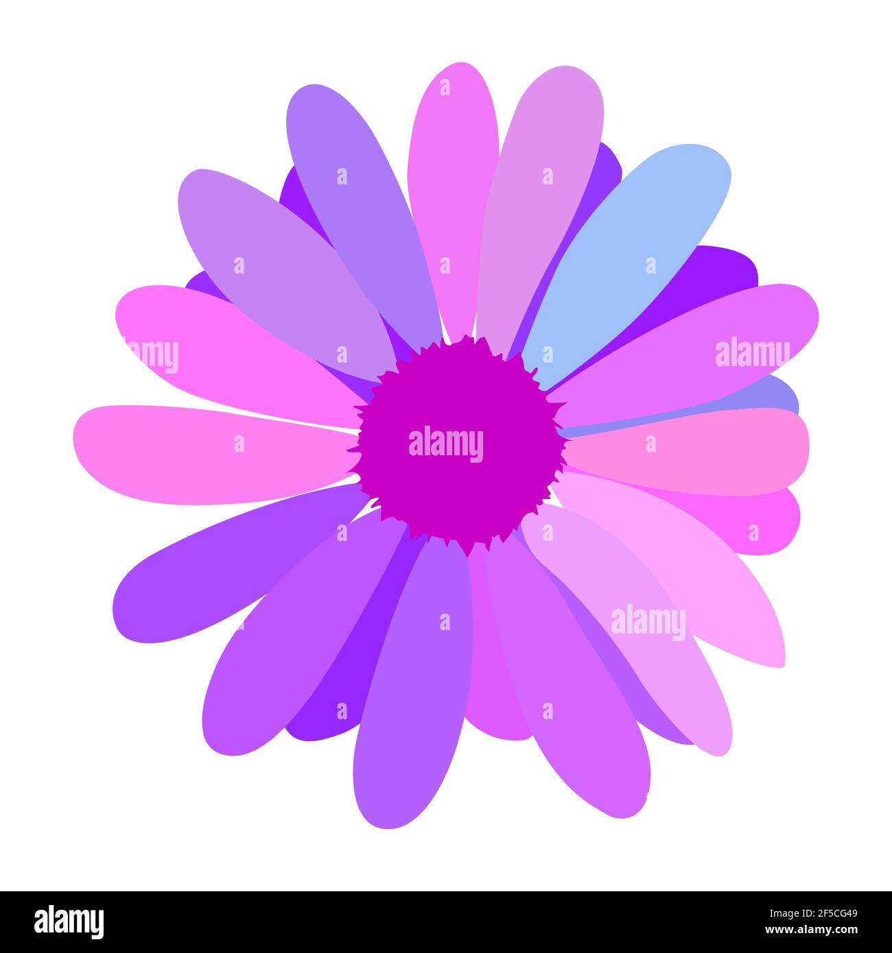 simple flower of blossoming and blooming colored chamomile. Vector ...