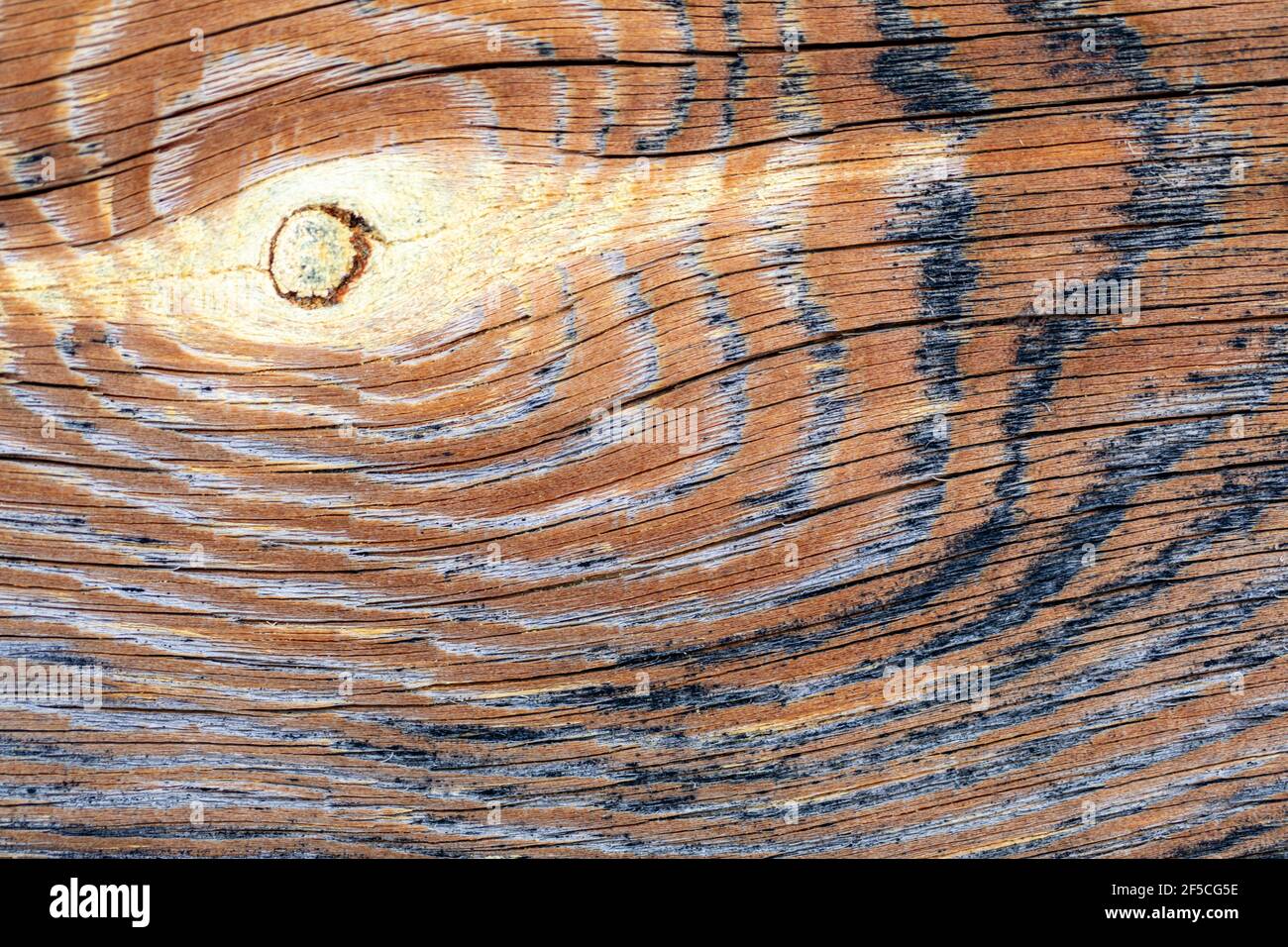 texture of pine planed boards. Wooden surface use as background Stock ...