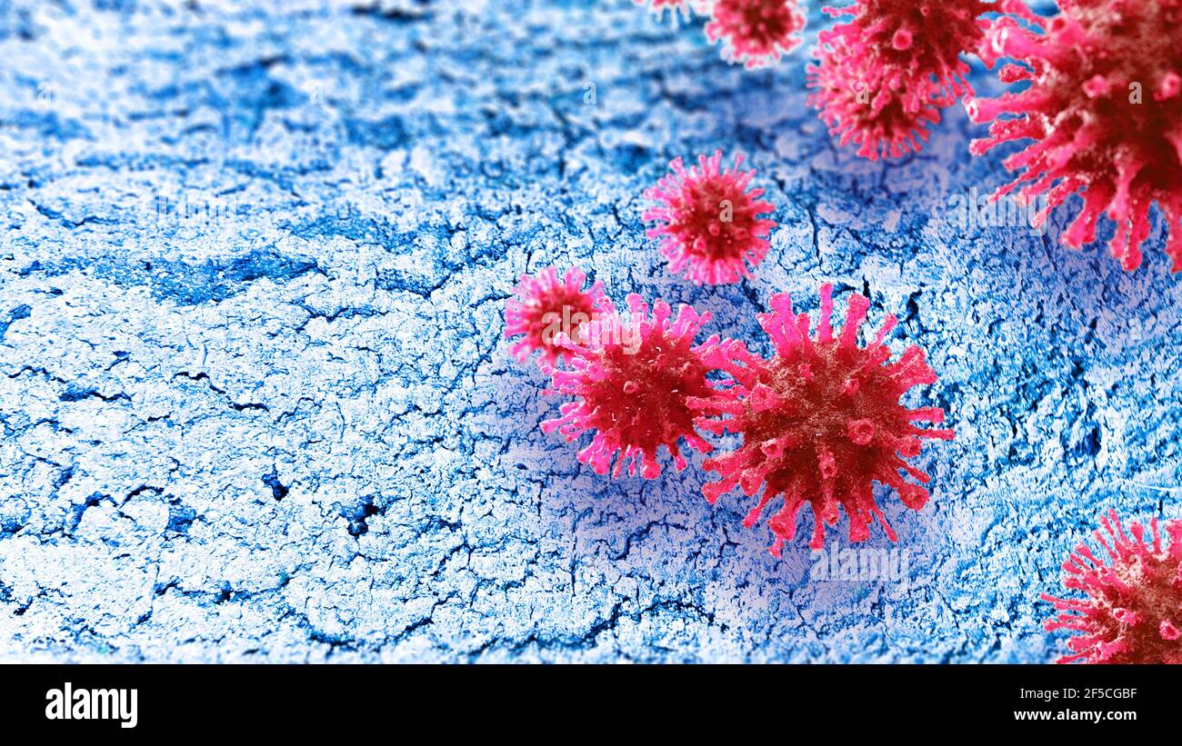 influenza coronavirus corvid 19 corona virus 2021 vaccination strategy ...