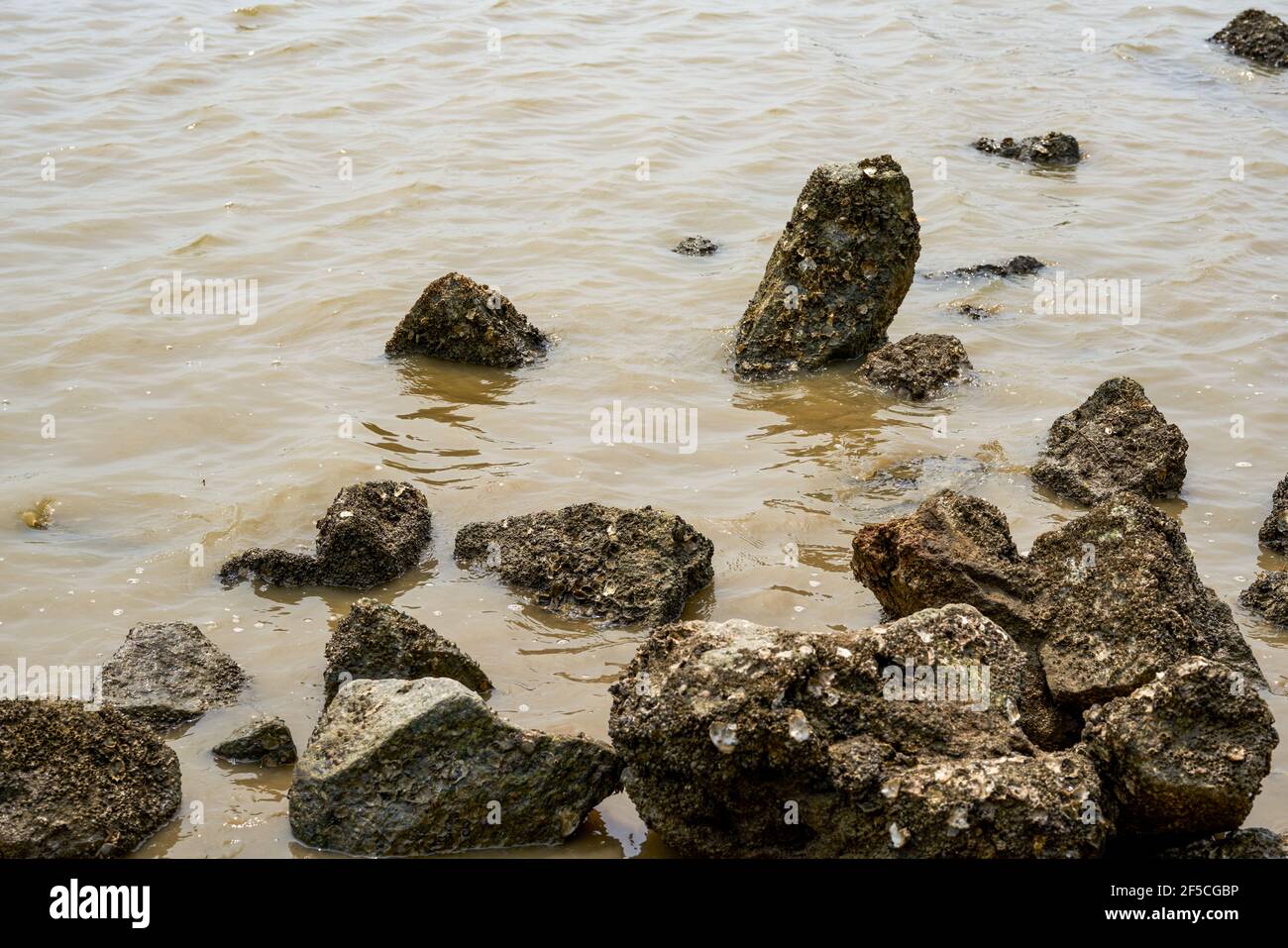 Crushed stones and huge rocks on the beach Stock Photo - Alamy