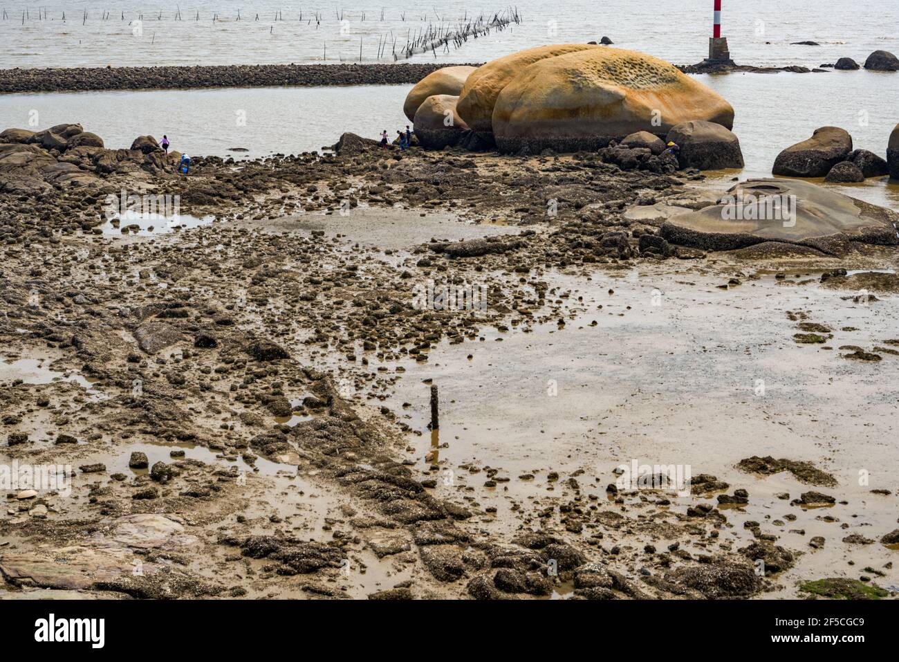 Crushed stones and huge rocks on the beach Stock Photo - Alamy