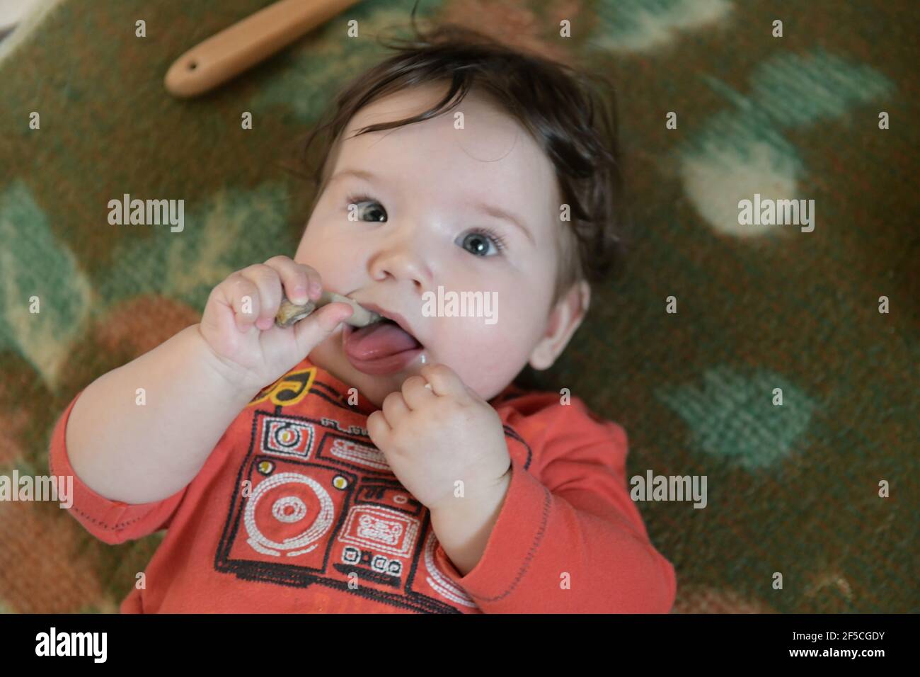 child gnaws a bone. One-year-old baby gnaws a plastic toy because his ...
