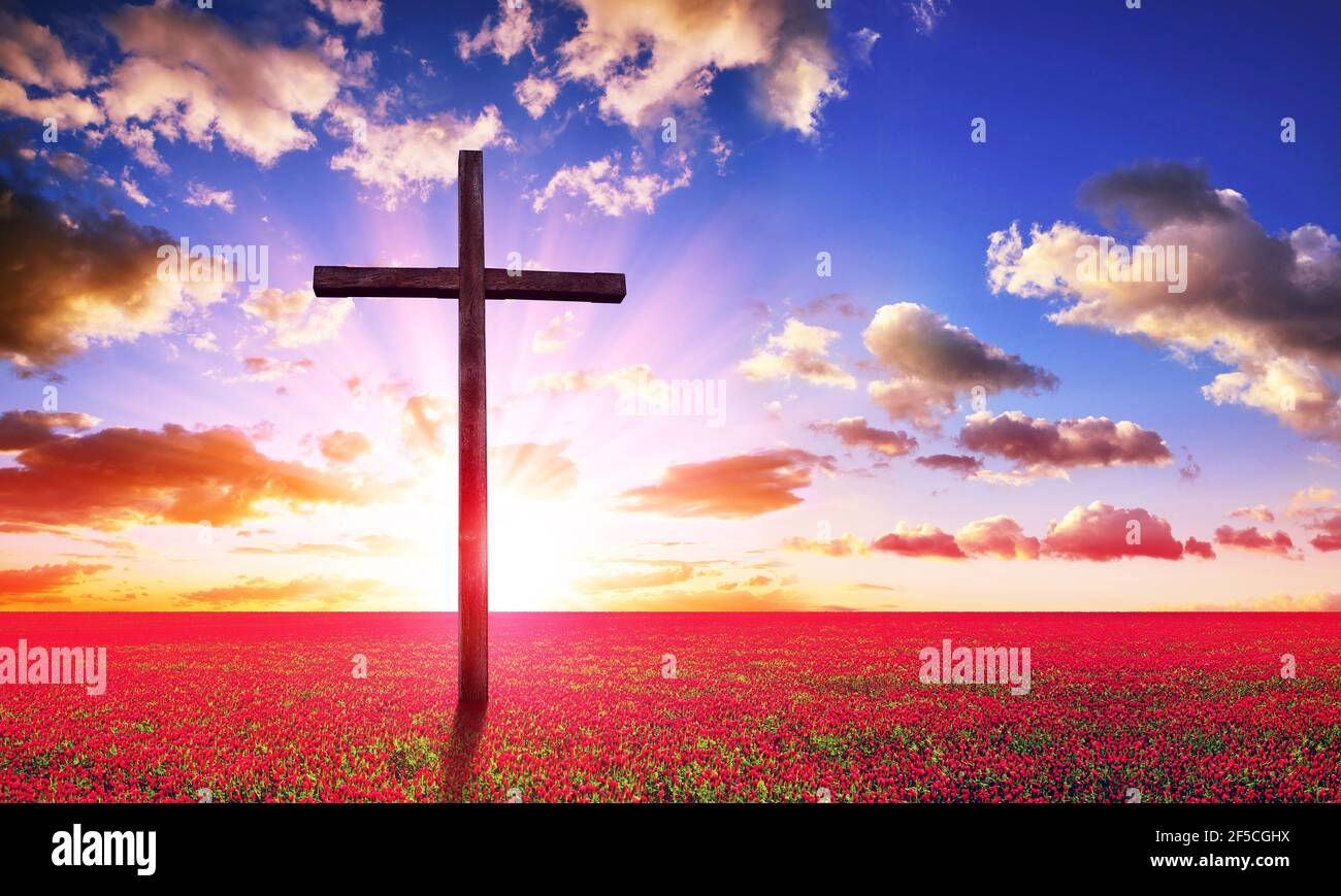 Christian wooden cross in blooming meadow at sunset. Religion theme ...