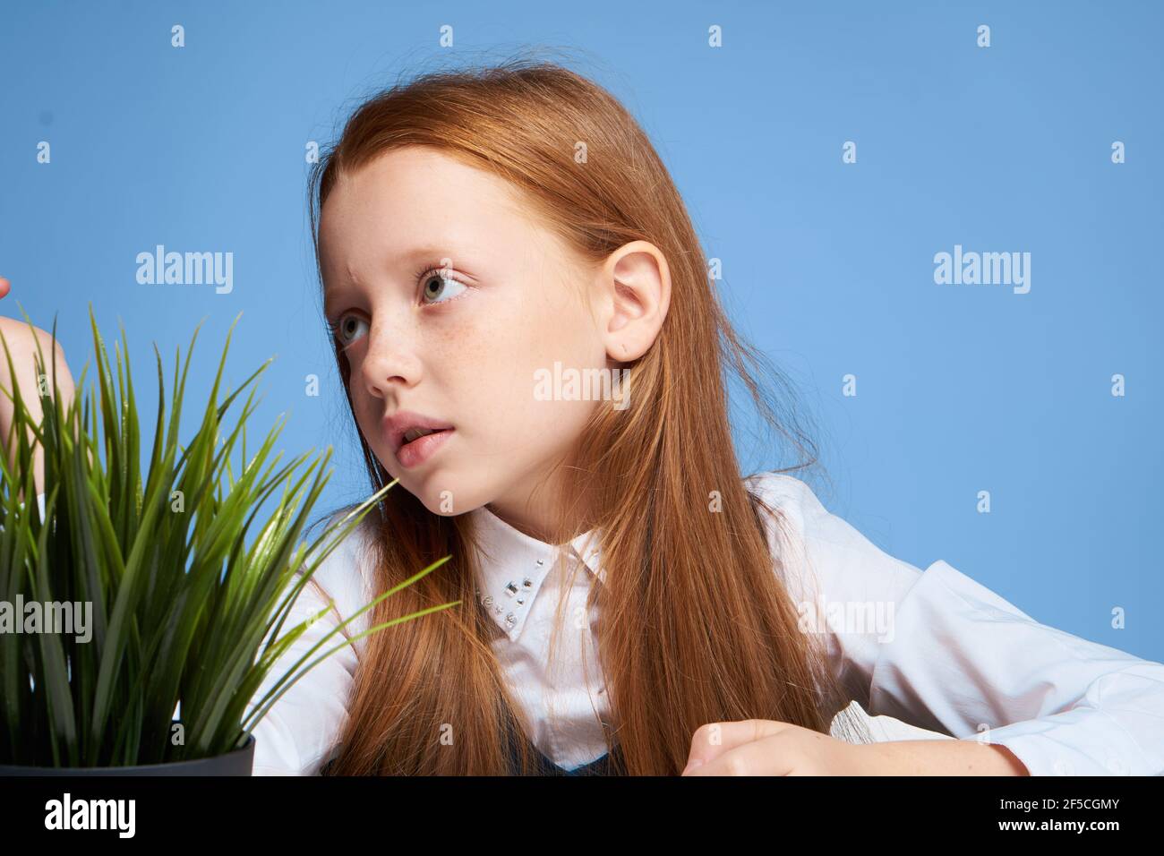 student at school desk doing homework education childhood Stock Photo ...