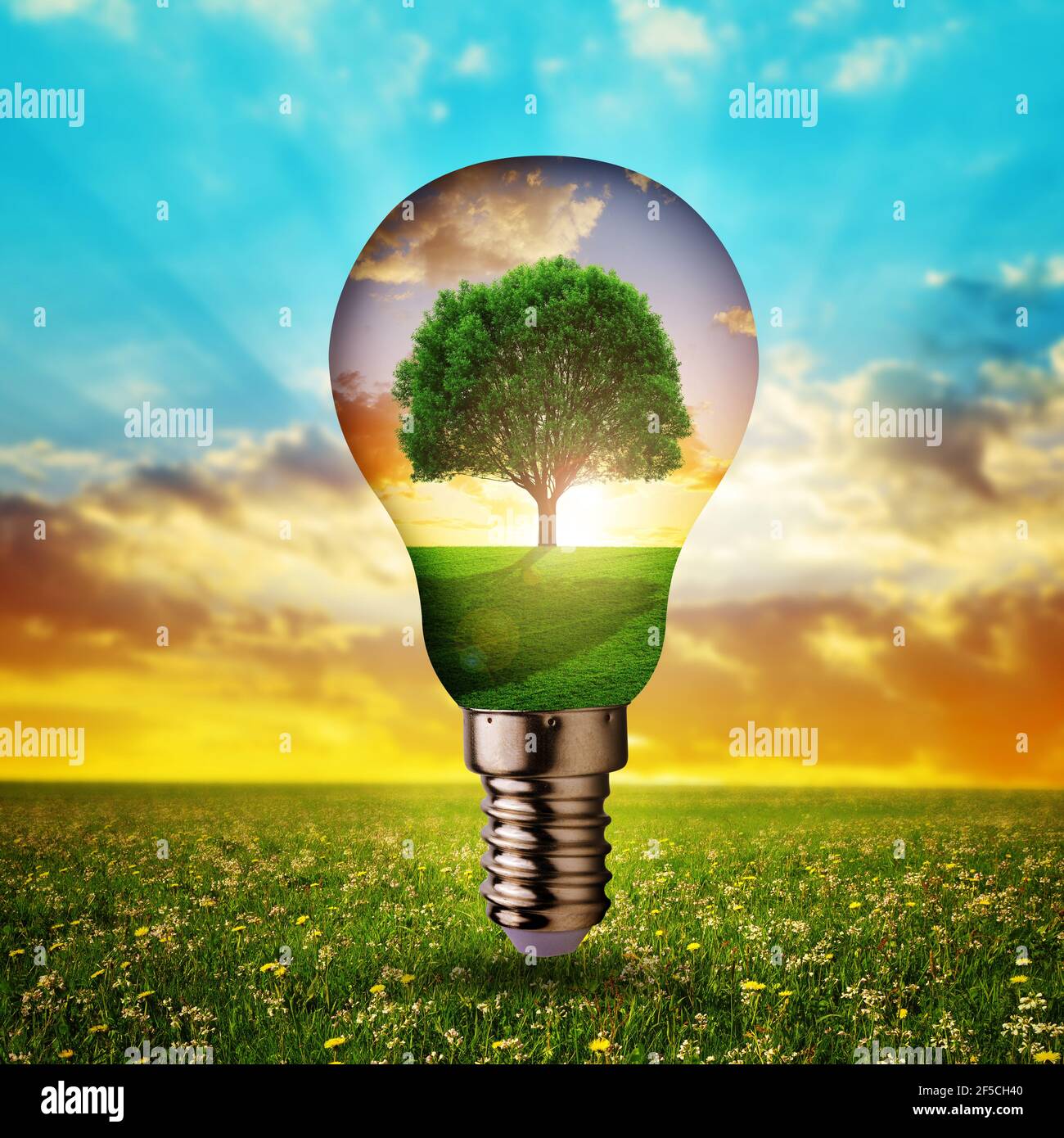 Eco light bulb with tree inside at sunset. Concept of green energy ...