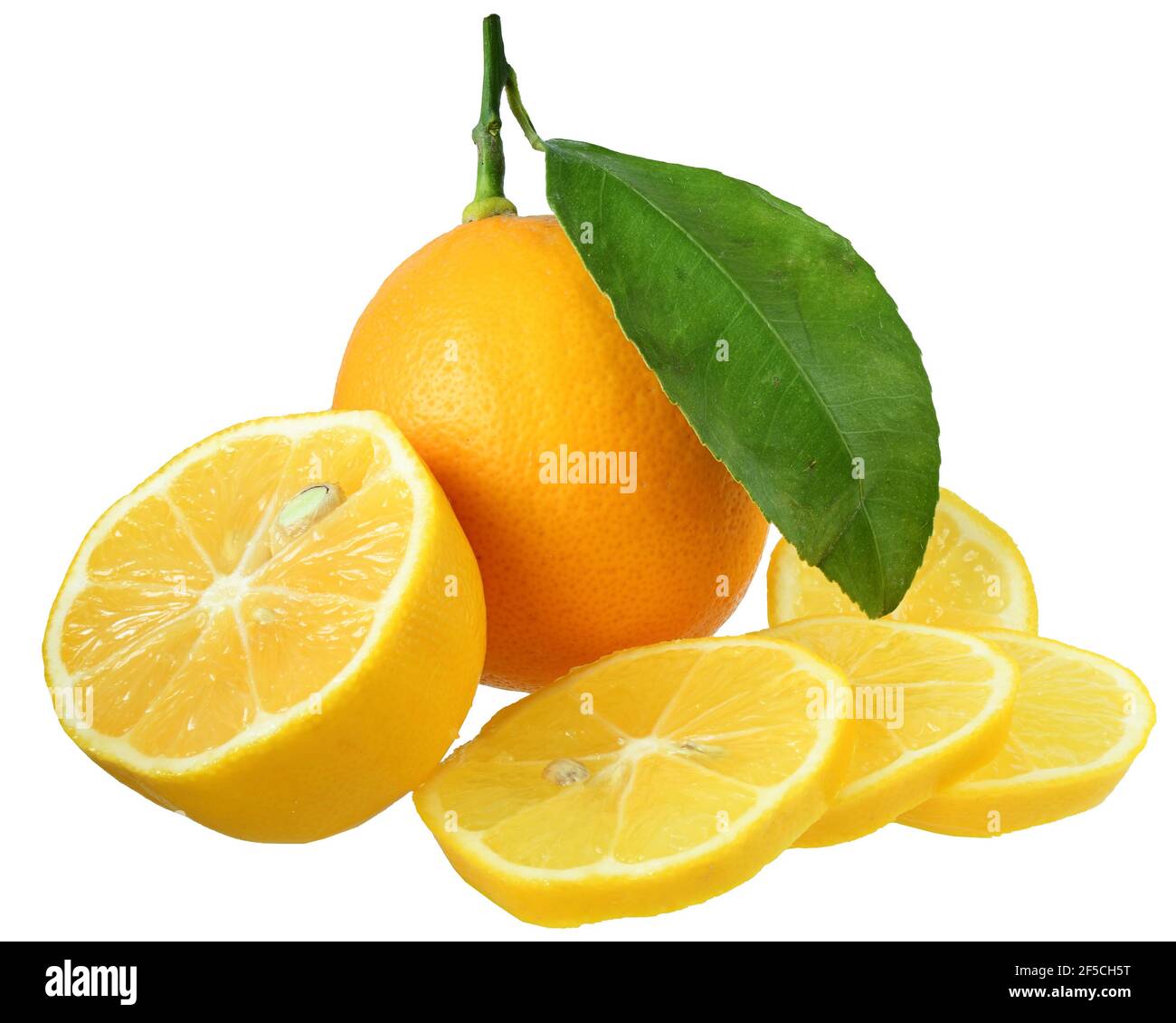 Lemon close up with leaf isolated on a white background Stock Photo - Alamy